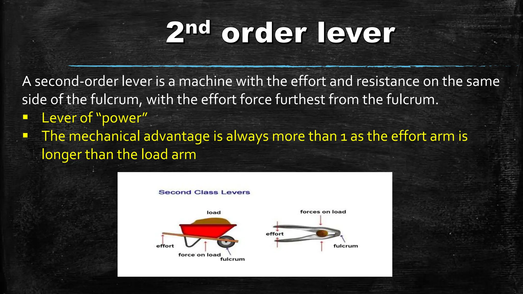 Lever system in human body.pptx