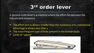 Lever system in human body.pptx