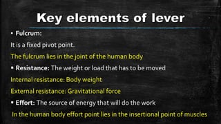 Lever system in human body.pptx