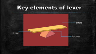 Lever system in human body.pptx