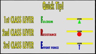 Lever system in human body.pptx