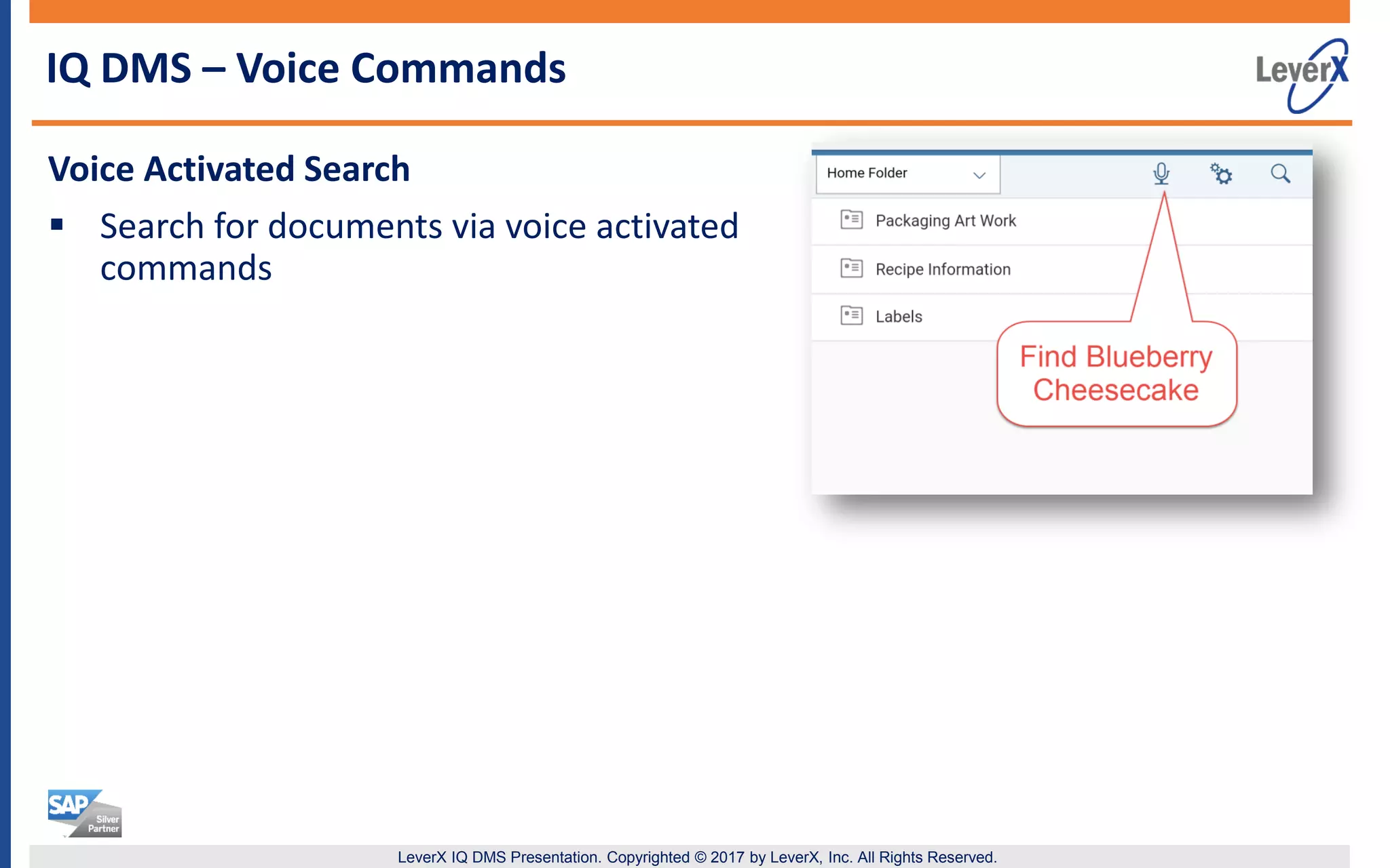 LeverX IQ DMS Overview - SAP DMS Simplified | PPT