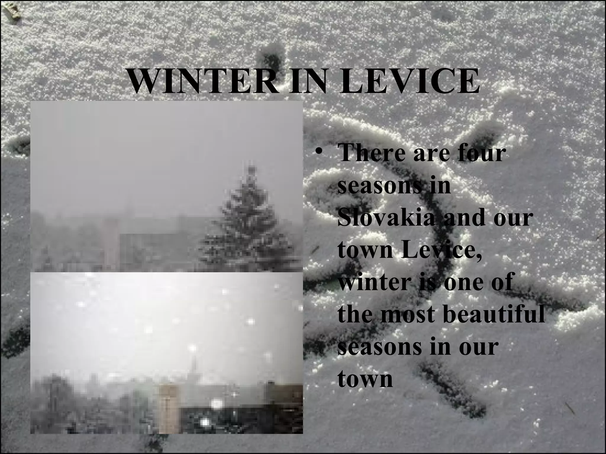 Levice in winter | PPT