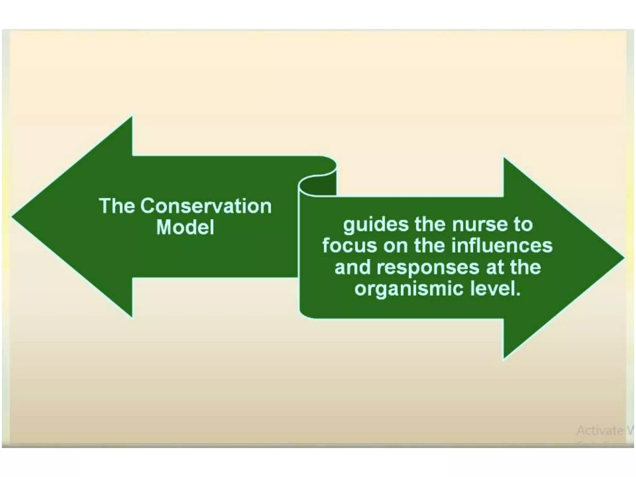 Levine's four conservation principles | PPTX