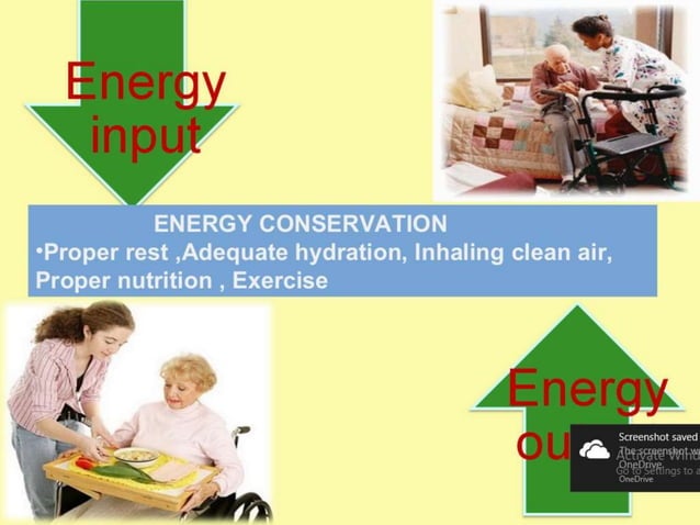 Levine's four conservation principles | PPTX | Science