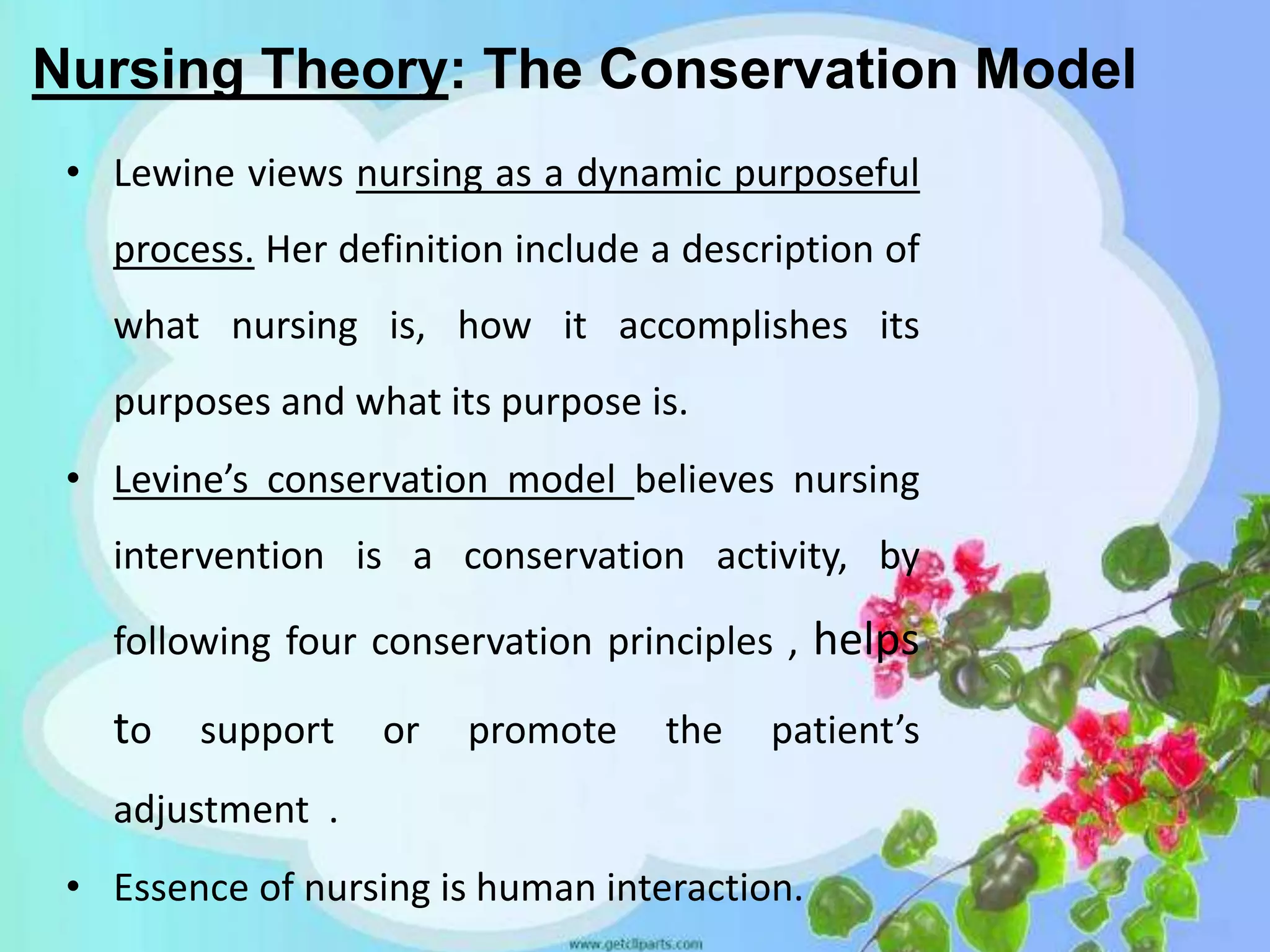 Levine's Theory- Theory of four conservation principles by Ms. Ritika ...