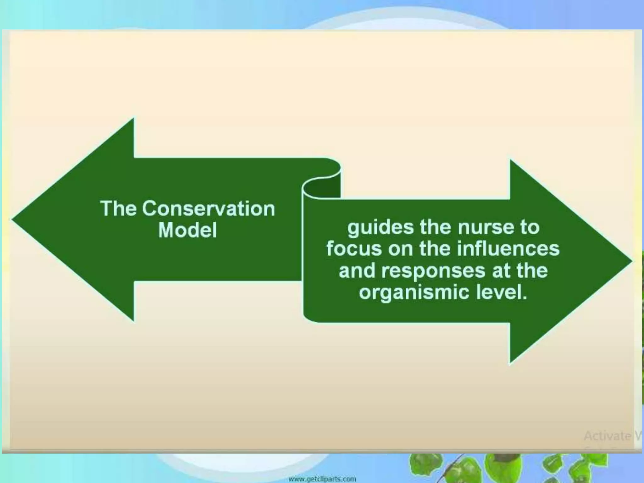Levine's Theory- Theory of four conservation principles by Ms. Ritika ...