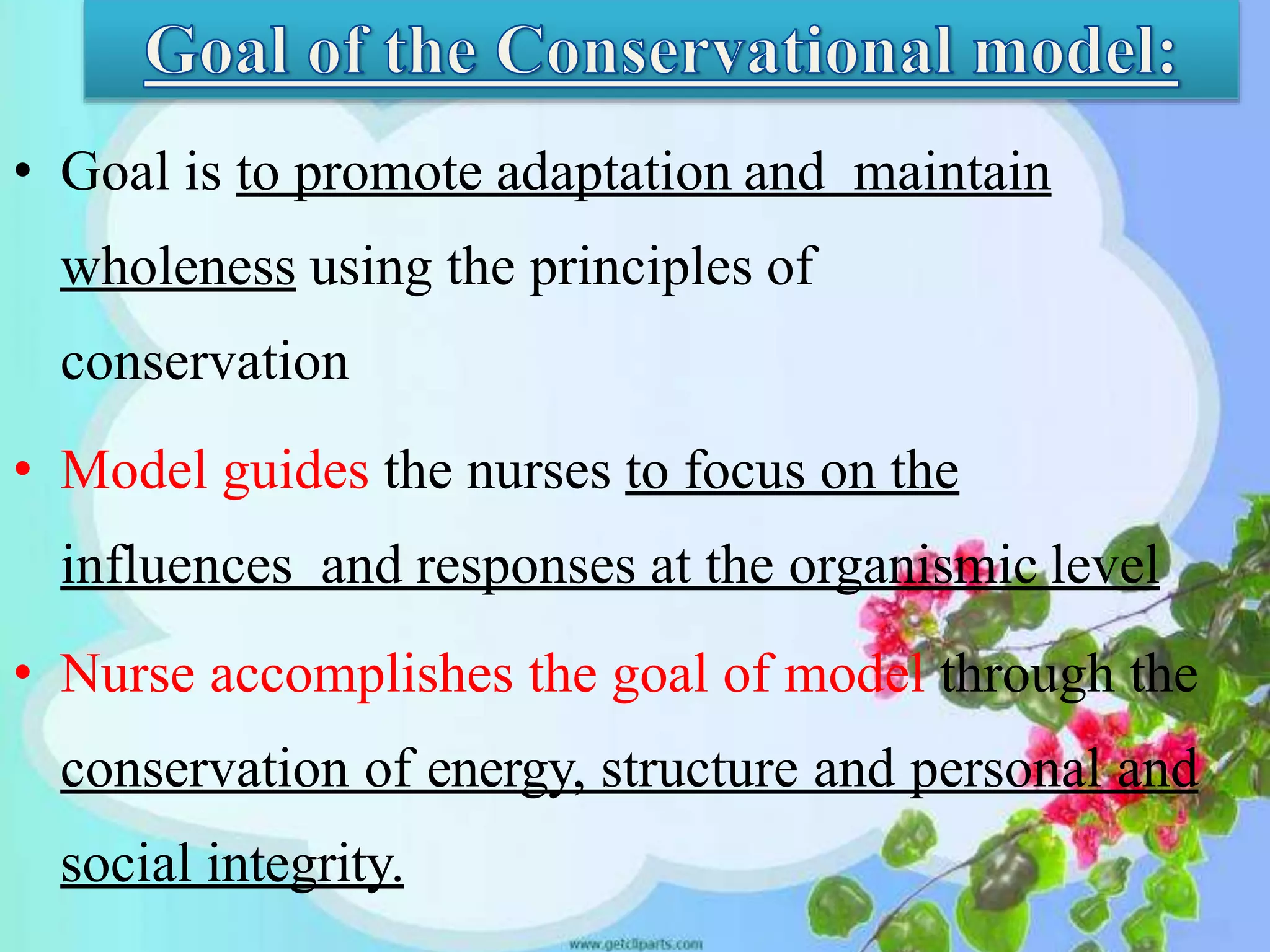 Levine's Theory- Theory of four conservation principles by Ms. Ritika soni | PPTX