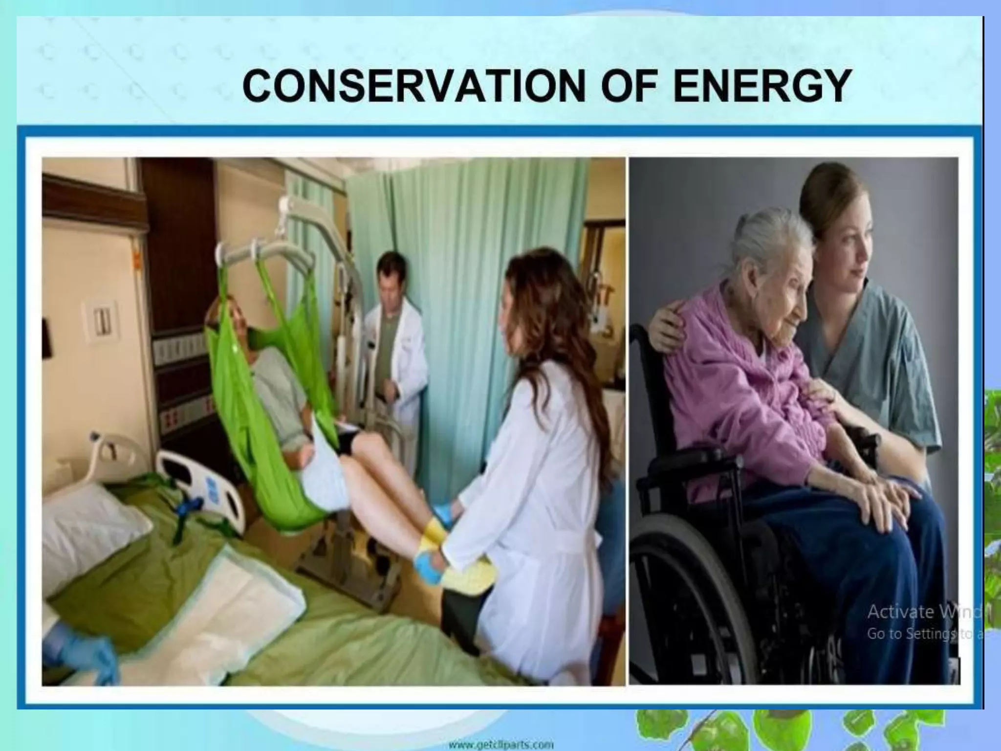 Levine's Theory- Theory of four conservation principles by Ms. Ritika ...