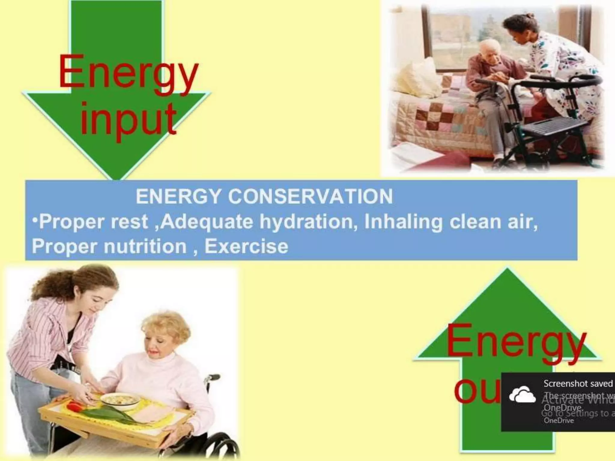 Levine's Theory- Theory of four conservation principles by Ms. Ritika ...