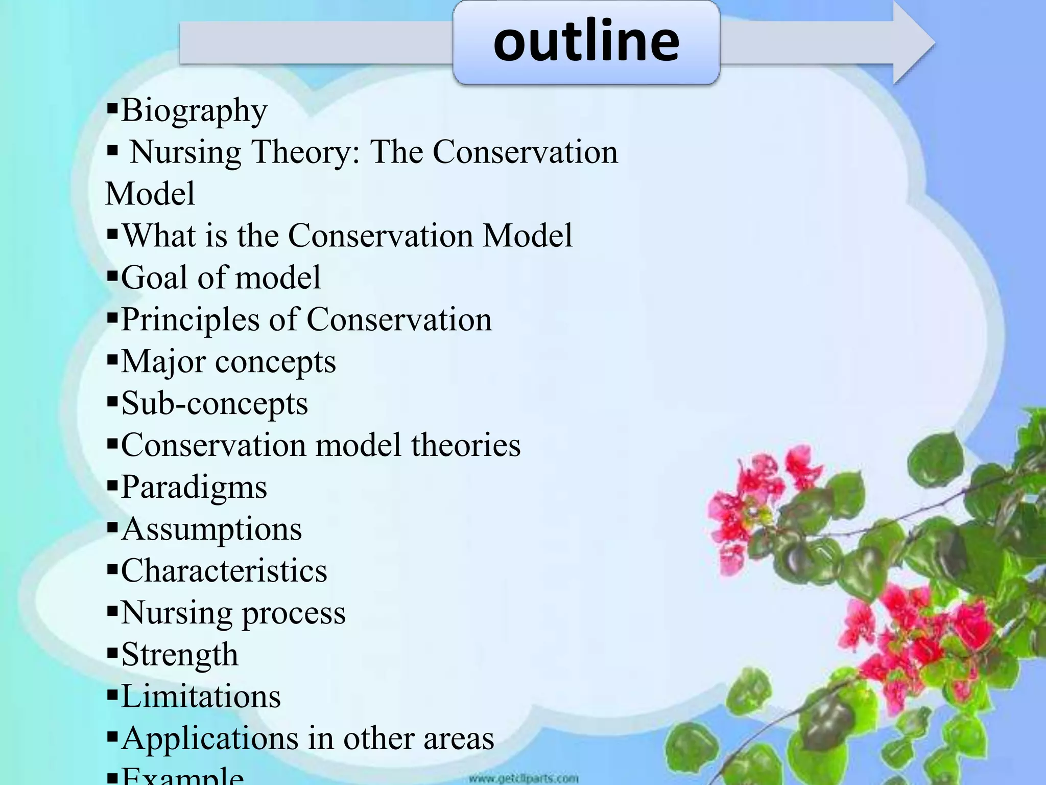 Levine's Theory- Theory of four conservation principles by Ms. Ritika ...
