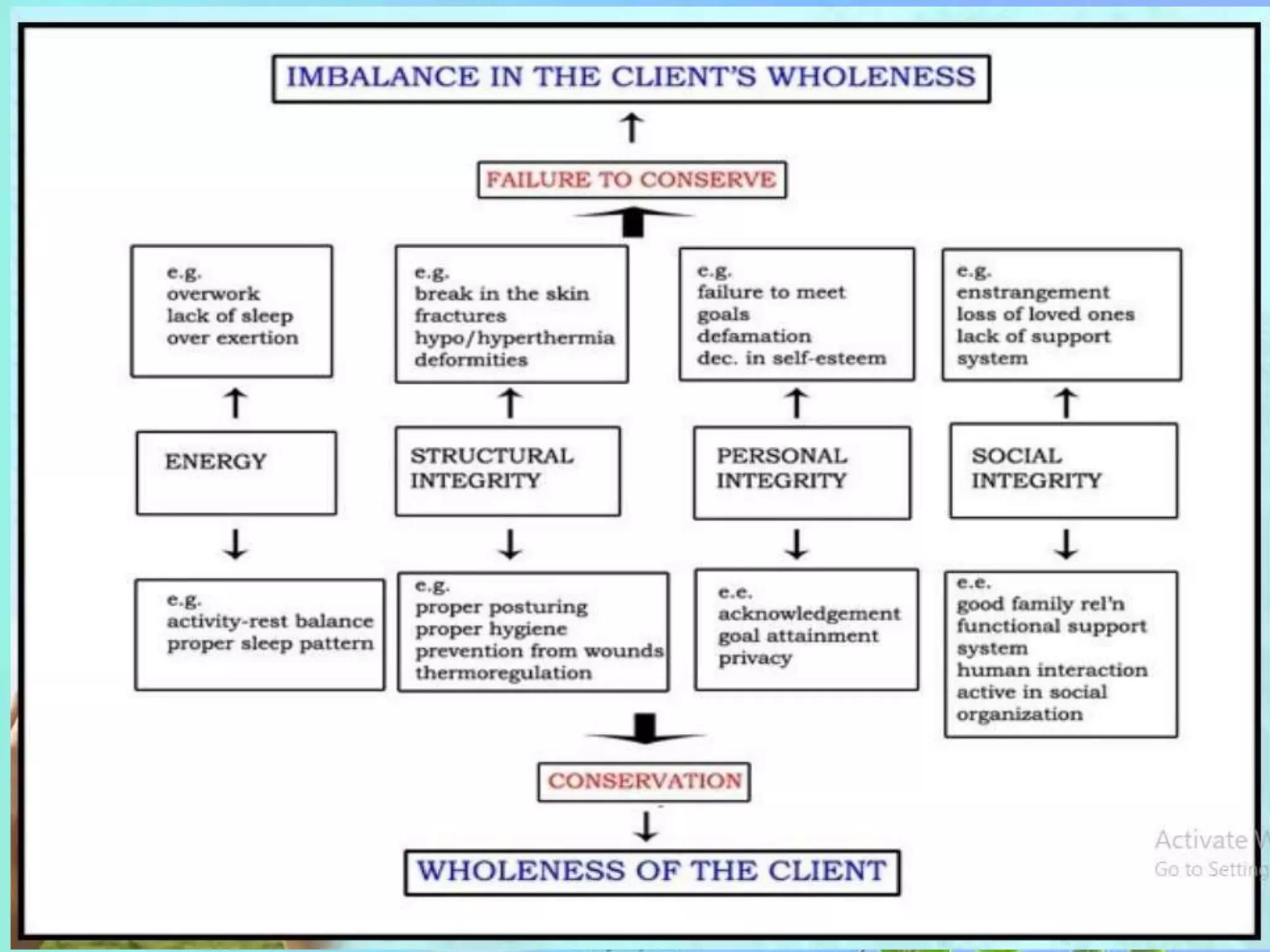 Levine's Theory- Theory of four conservation principles by Ms. Ritika ...