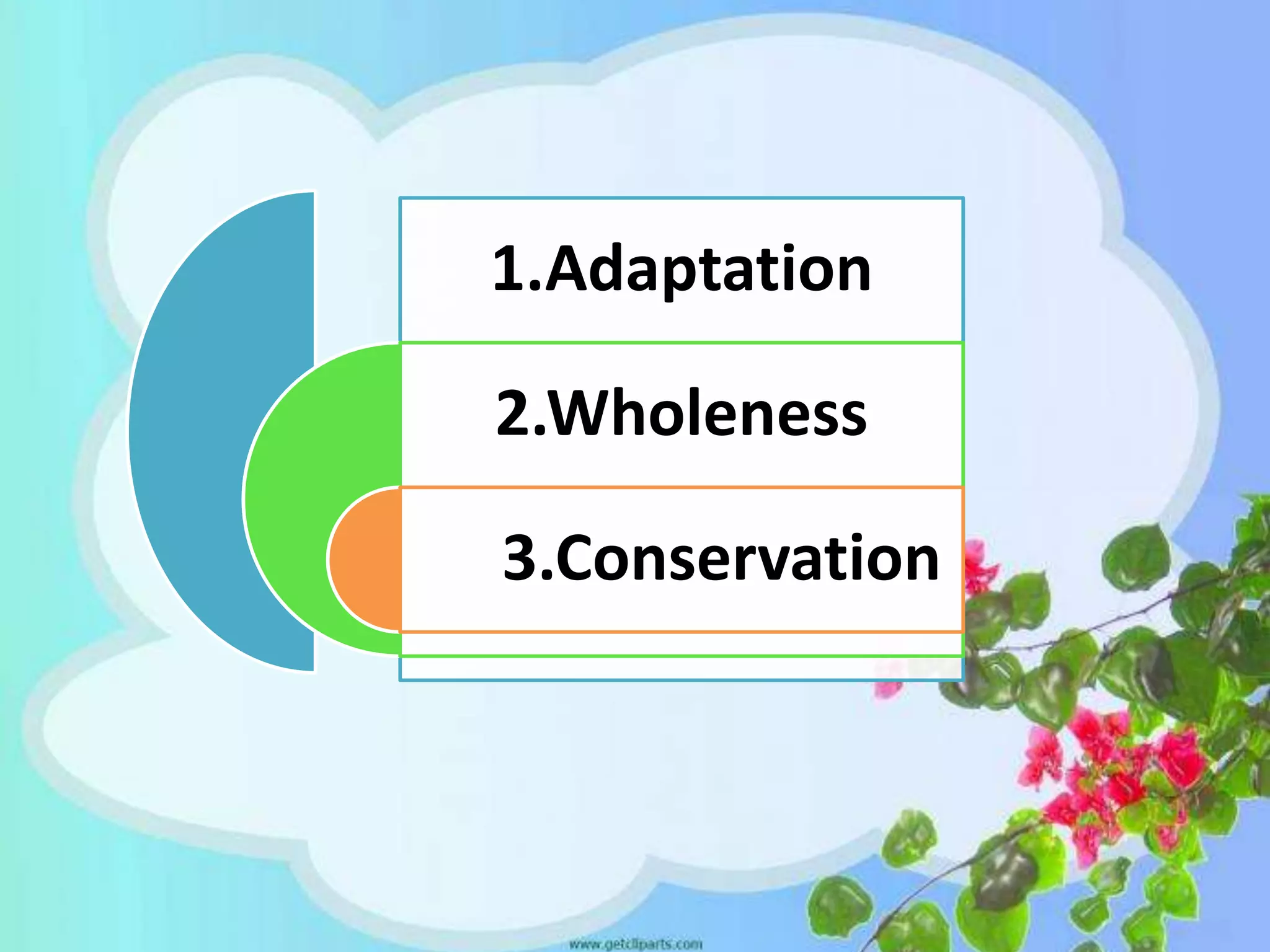 Levine's Theory- Theory of four conservation principles by Ms. Ritika ...