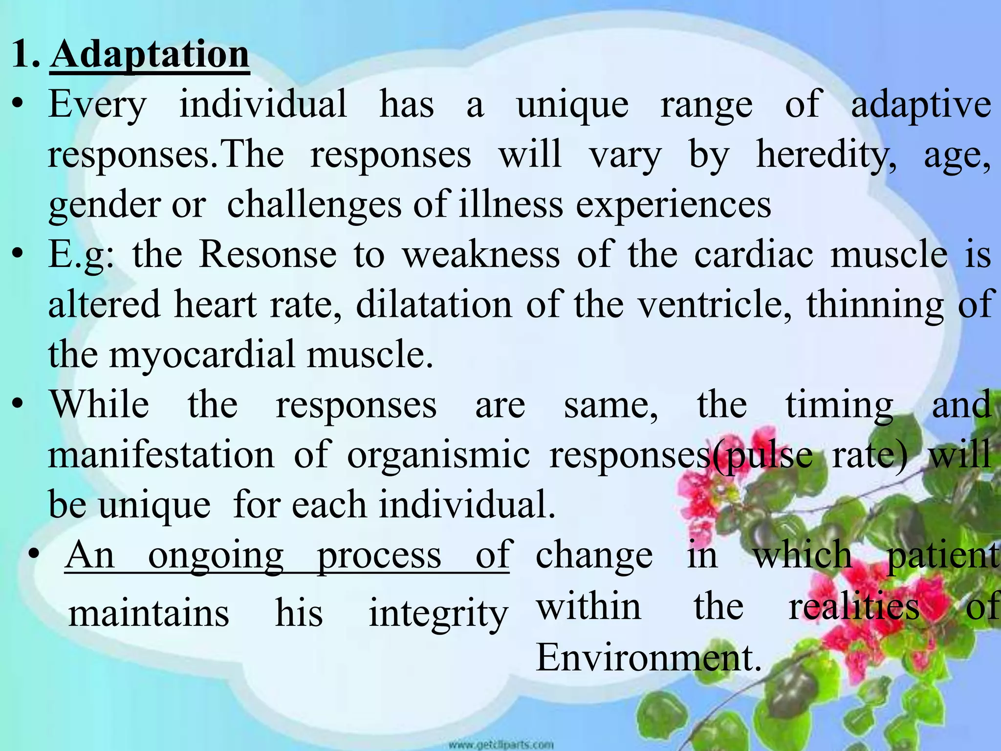 Levine's Theory- Theory of four conservation principles by Ms. Ritika ...