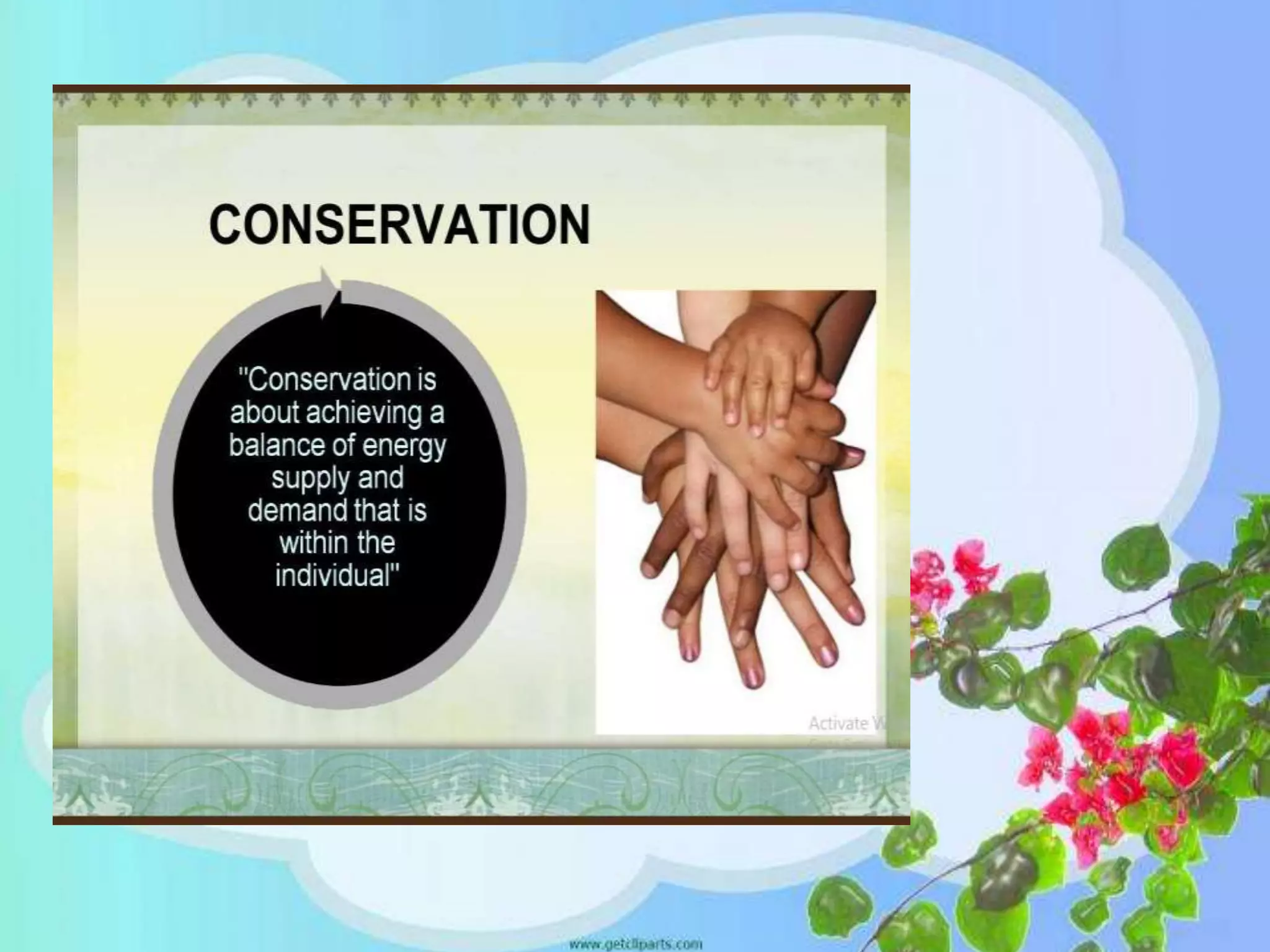 Levine's Theory- Theory of four conservation principles by Ms. Ritika soni | PPTX