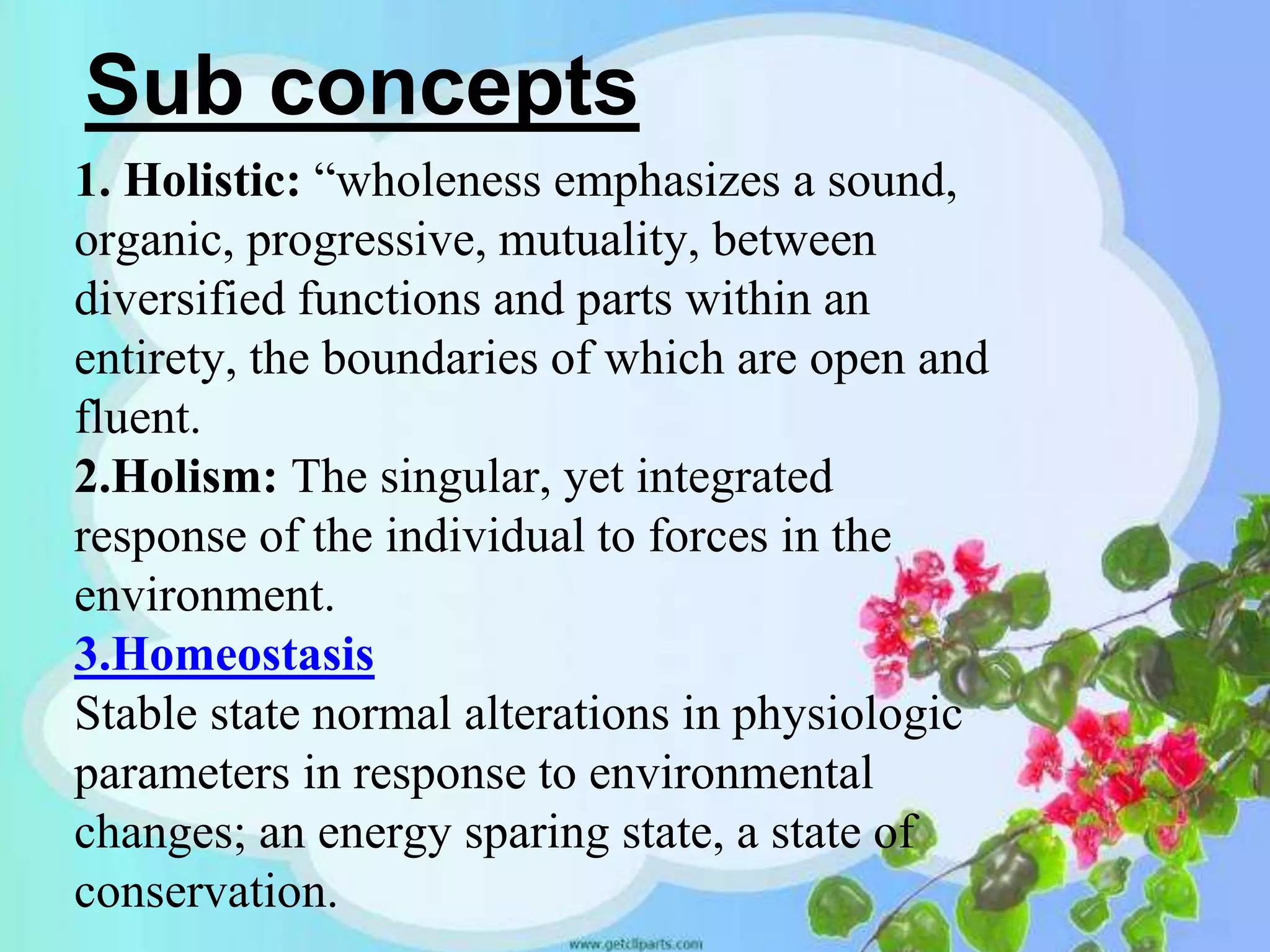 Levine's Theory- Theory of four conservation principles by Ms. Ritika ...