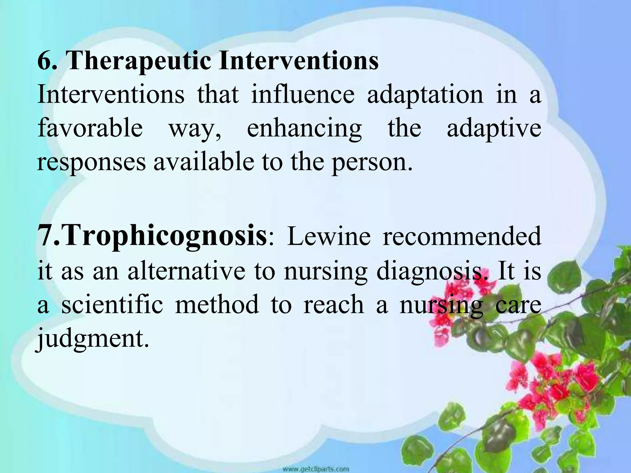 Levine's Theory- Theory of four conservation principles by Ms. Ritika ...