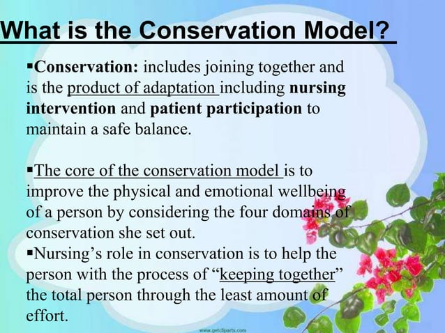 Levine's Theory- Theory of four conservation principles by Ms. Ritika ...