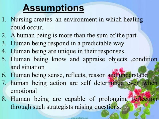 Levine's Theory- Theory of four conservation principles by Ms. Ritika ...