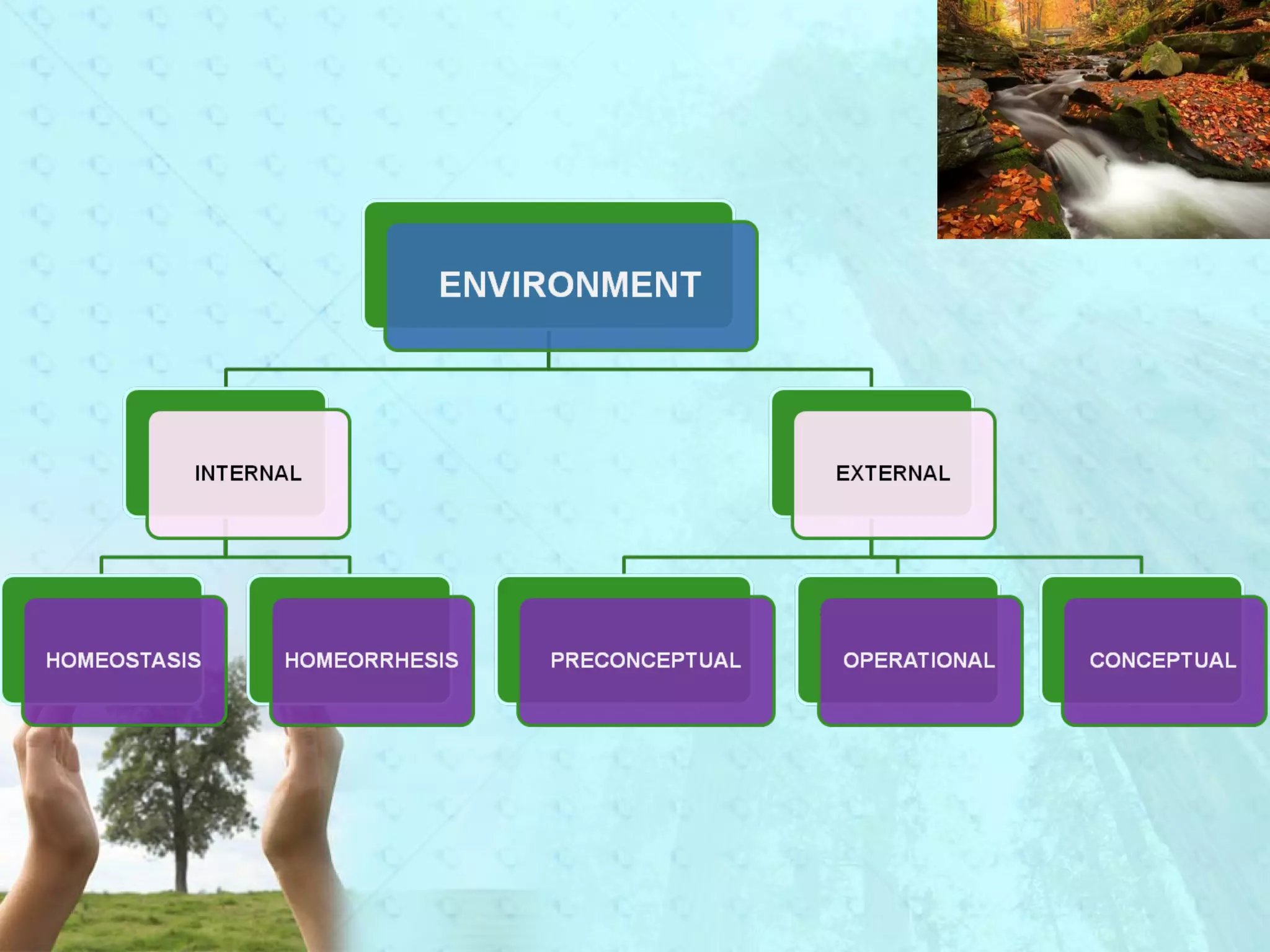 Levine's theory | PPT