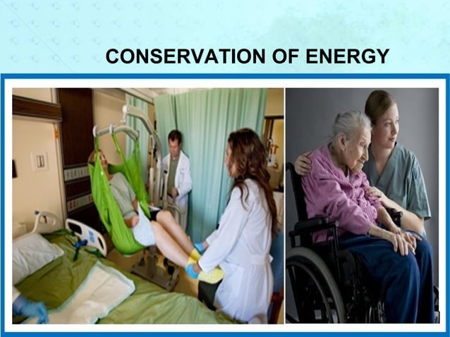 Levine's theory | PPT