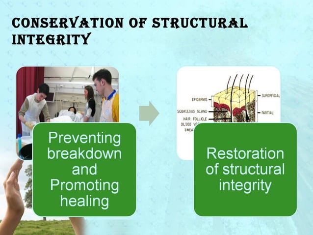 Levine's theory | PPT