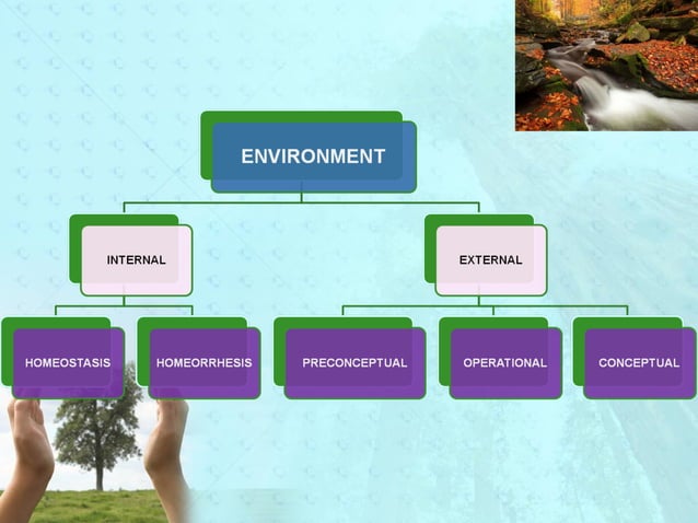 Levine's theory | PPT