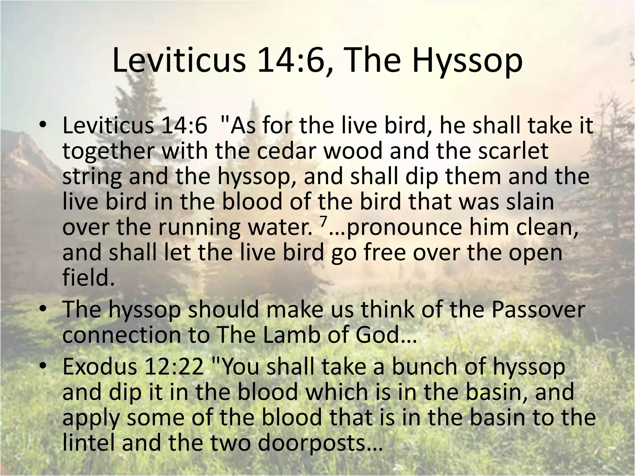 Leviticus 12-16, Scapegoat, Azazel, Satan the sin bearer, laws about ...