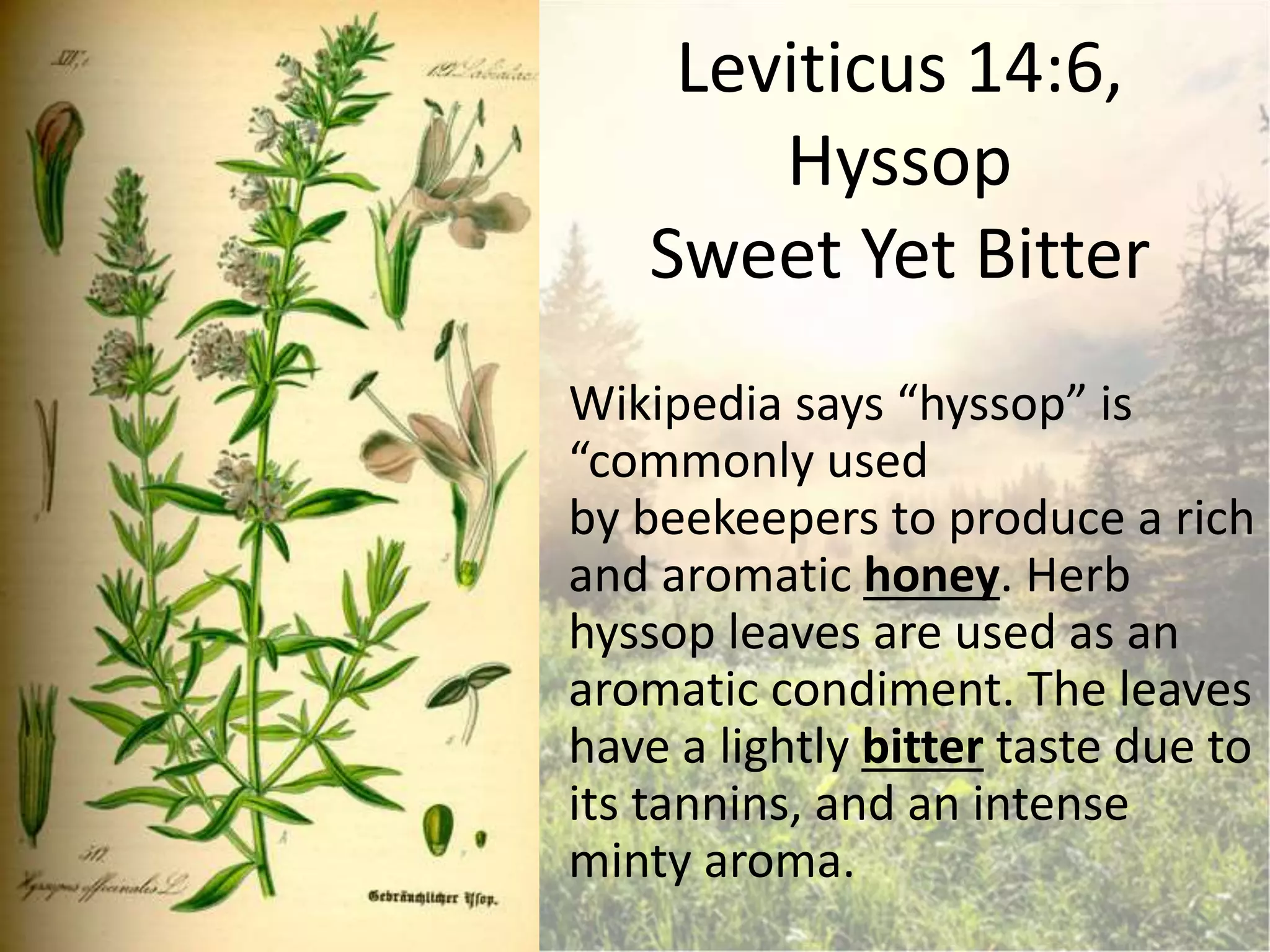 Leviticus 12-16, Scapegoat, Azazel, Satan the sin bearer, laws about ...