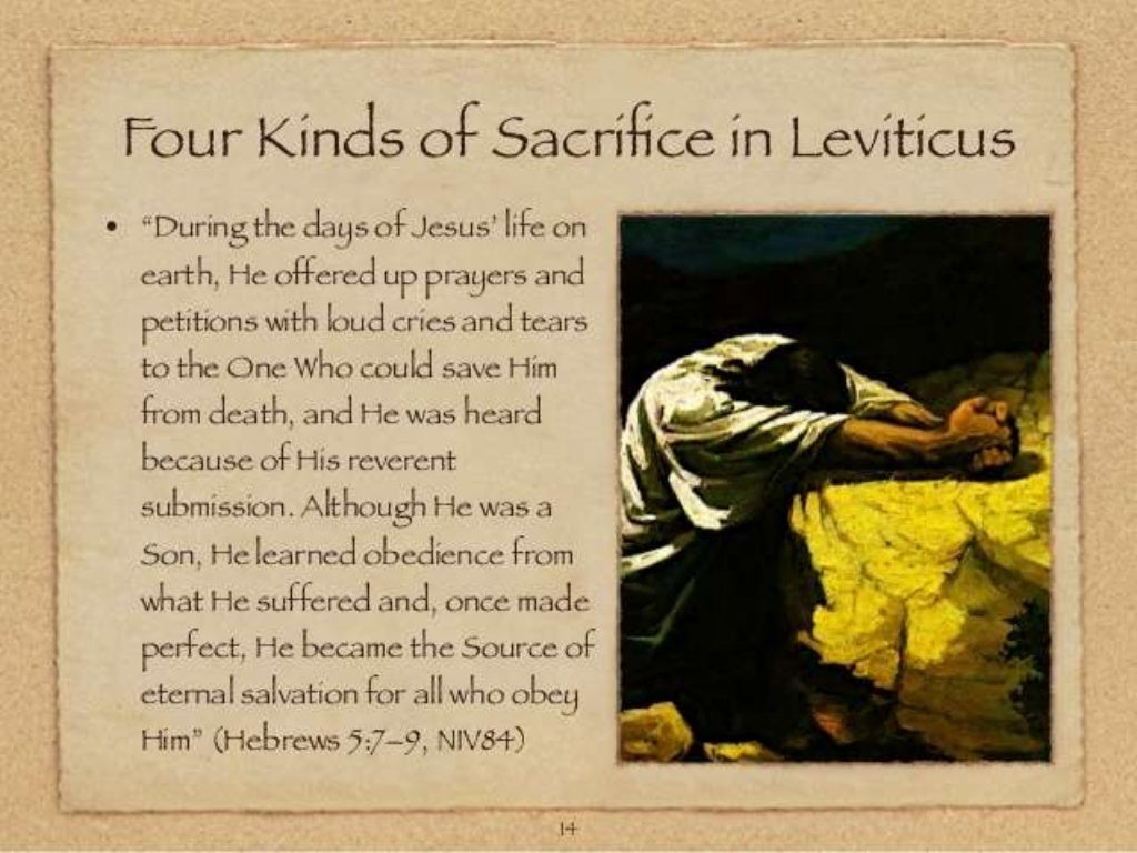 Leviticus 5, Testifying, uncleanness, breaking vows, Guilt Offering,