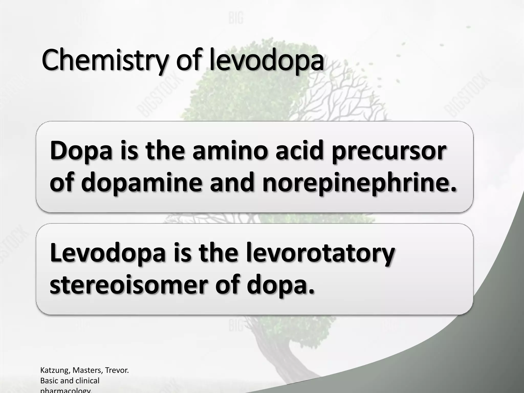 Levodopa | PPSX