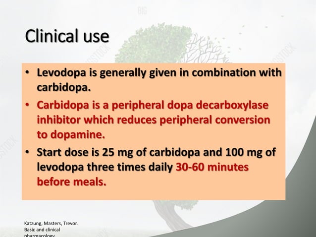 Levodopa | PPSX | Brain and Nervous System Disorders | Diseases and ...