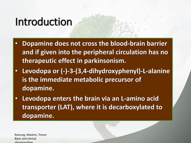 Levodopa | PPSX | Brain and Nervous System Disorders | Diseases and ...