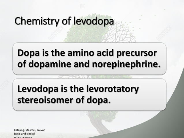 Levodopa | PPSX | Brain and Nervous System Disorders | Diseases and ...
