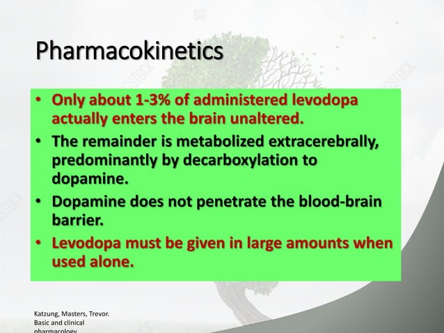 Levodopa | PPSX | Brain and Nervous System Disorders | Diseases and ...