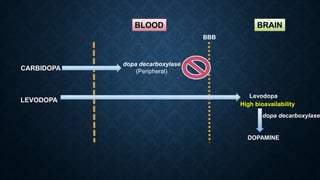 Carbidopa is given in combination L-dopa in Parkinsonian | PPTX