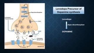 Carbidopa is given in combination L-dopa in Parkinsonian | PPTX