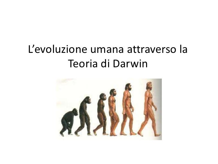 L’evoluzione umana teoria di Darwin