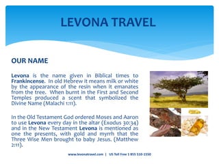 Levona Travel | PPT