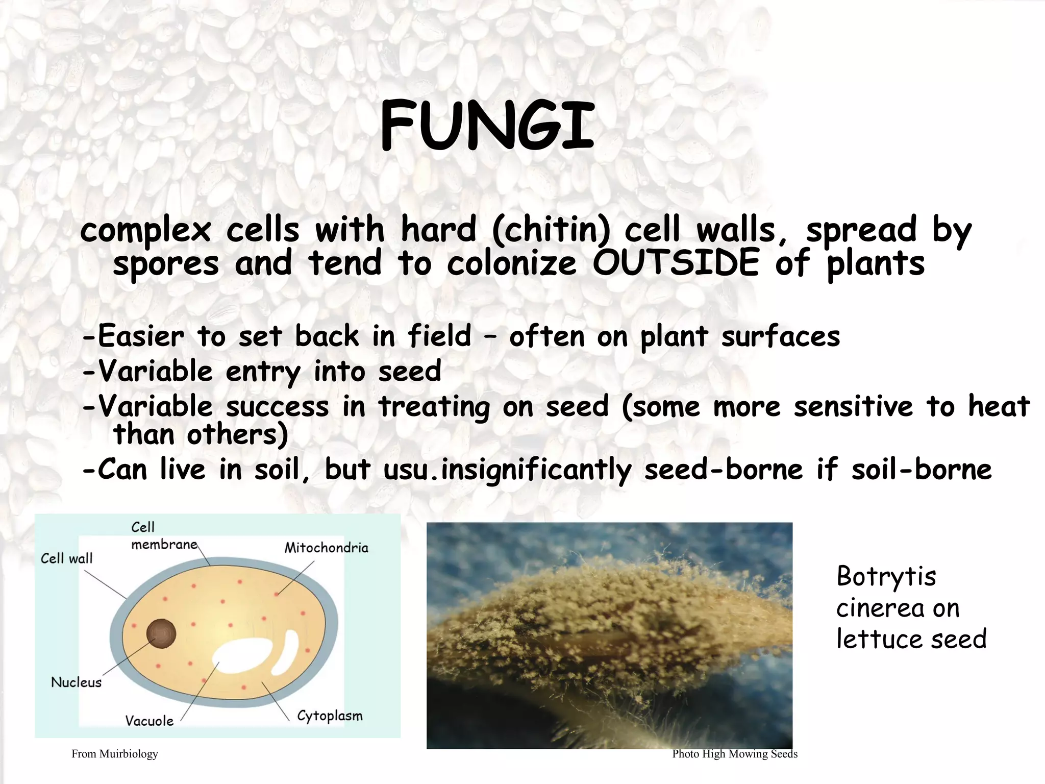 Seed-Borne Disease with Jodi Lew-Smith | PPT | Infectious Diseases ...