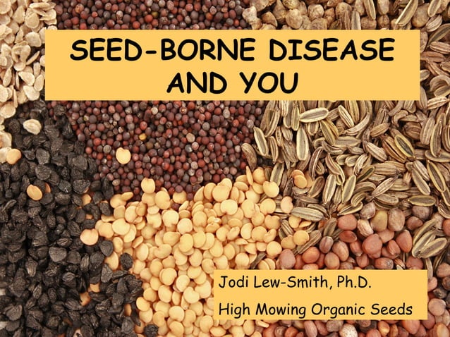 Seed-Borne Disease with Jodi Lew-Smith | PPT