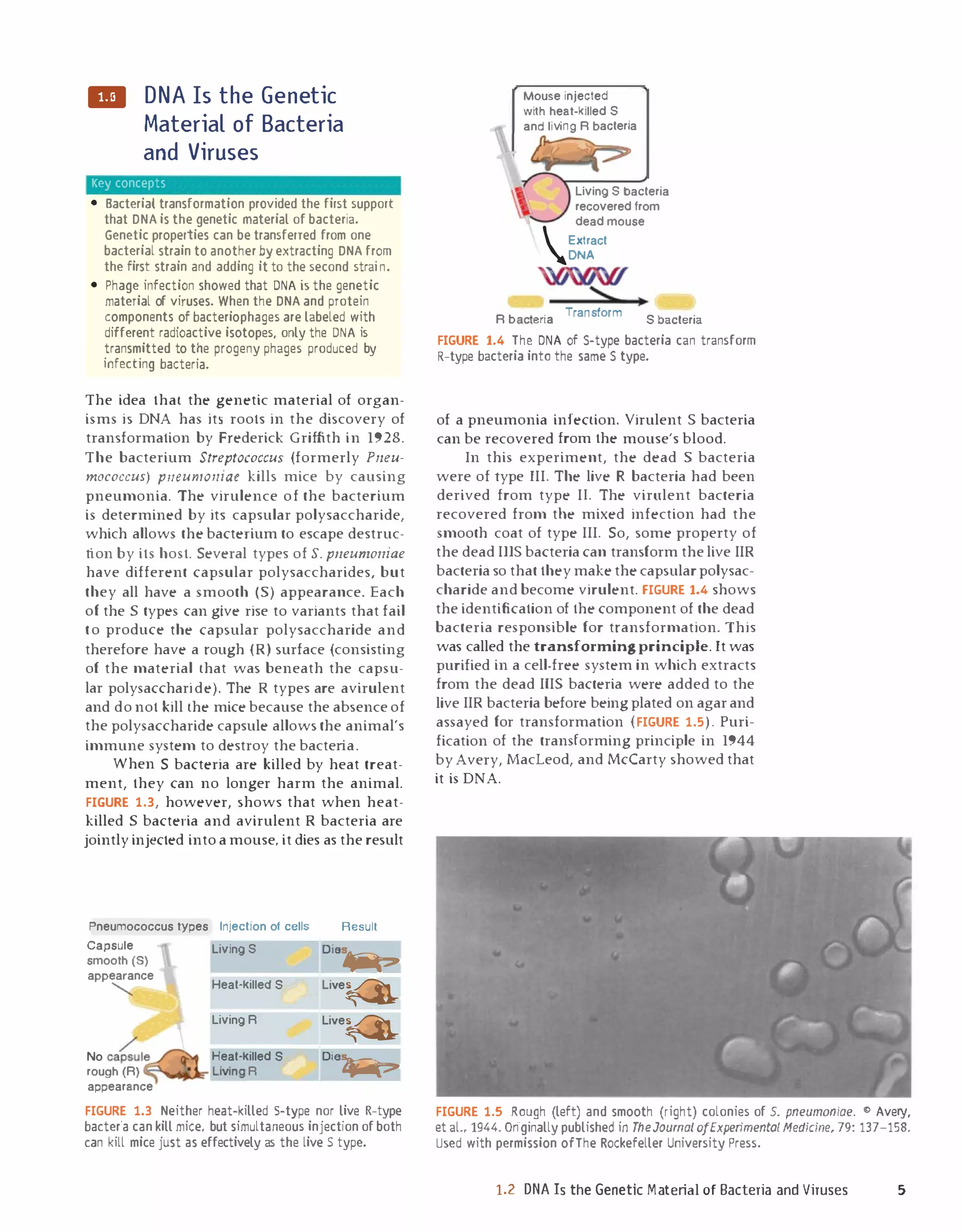 Lewins genes xi [pdf][tahir99] vrg | PDF