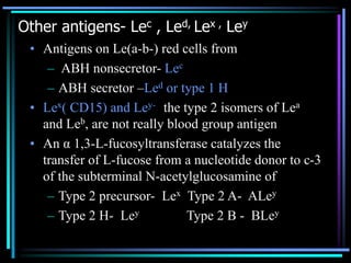 Lewis.ppt