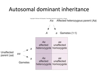 Human Genetics: Single Gene Inheritance! | PPTX