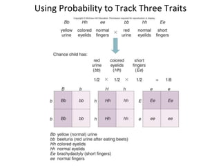 Human Genetics: Single Gene Inheritance! | PPTX