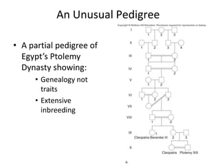 Human Genetics: Single Gene Inheritance! | PPTX