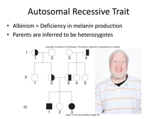 Human Genetics: Single Gene Inheritance! | PPTX