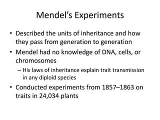 Human Genetics: Single Gene Inheritance! | PPTX