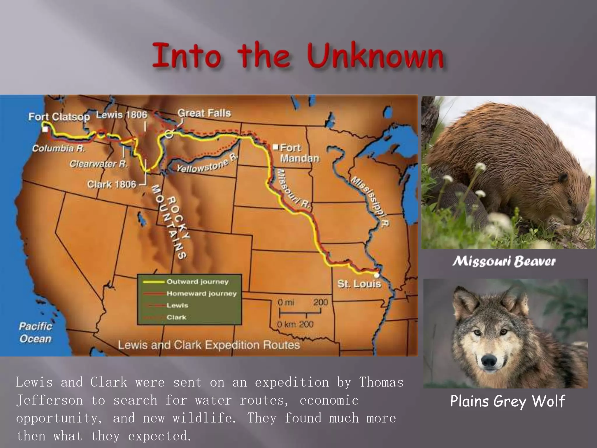 Lewis and clark | PPT