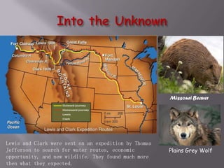 Lewis and clark | PPT